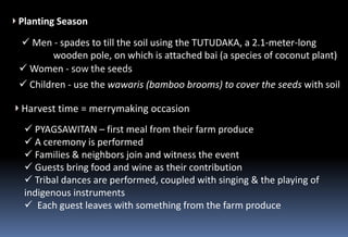 Mansaka tribe | PPTX