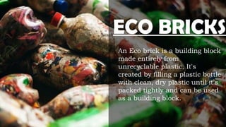 Mansha Sachdeva VII Phoenix Eco-Bricks PPT.pptx