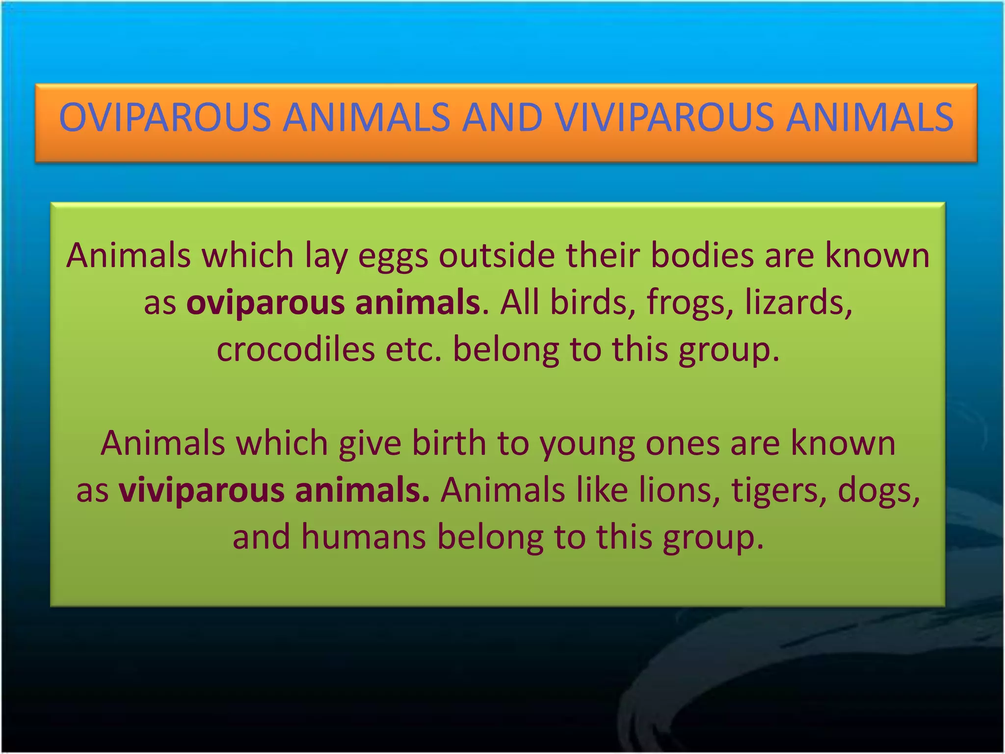 Manshi 8th a science reproduction in animals | PPTX