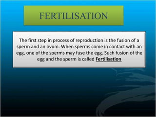Reproduction in animals | PPTX