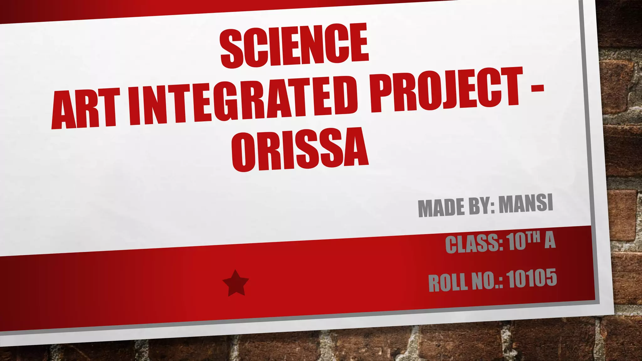 class 10 Science Art Integrated Project.pptx