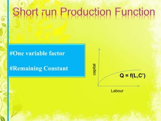 Production function ppt in economics | PPTX