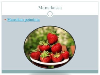 Mansikka | PPT