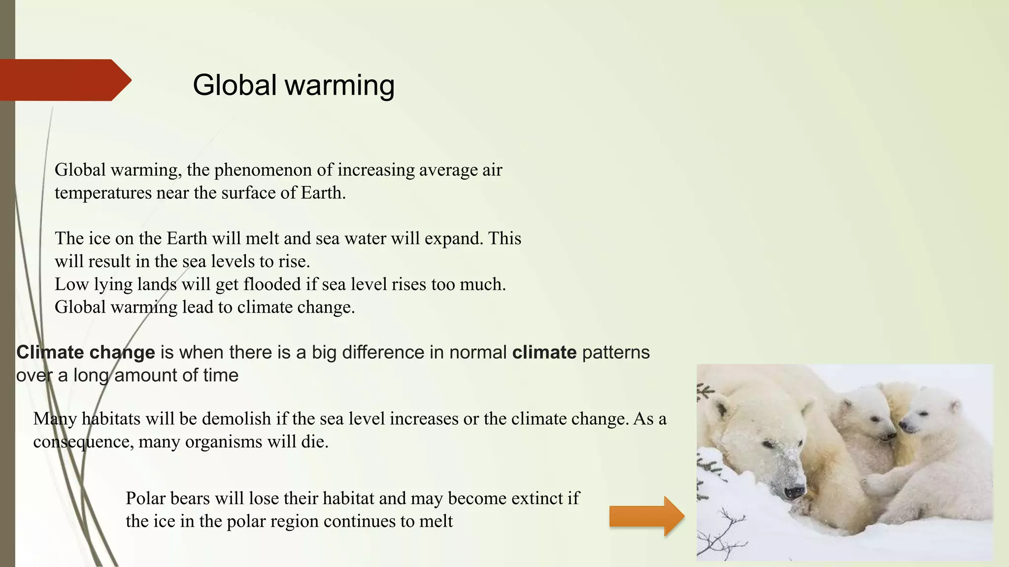Man's impact on ecosystem | PPT