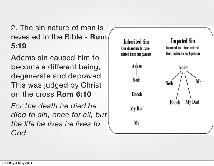 Chafer, Bible Doctrines: Man & Sin Part 2