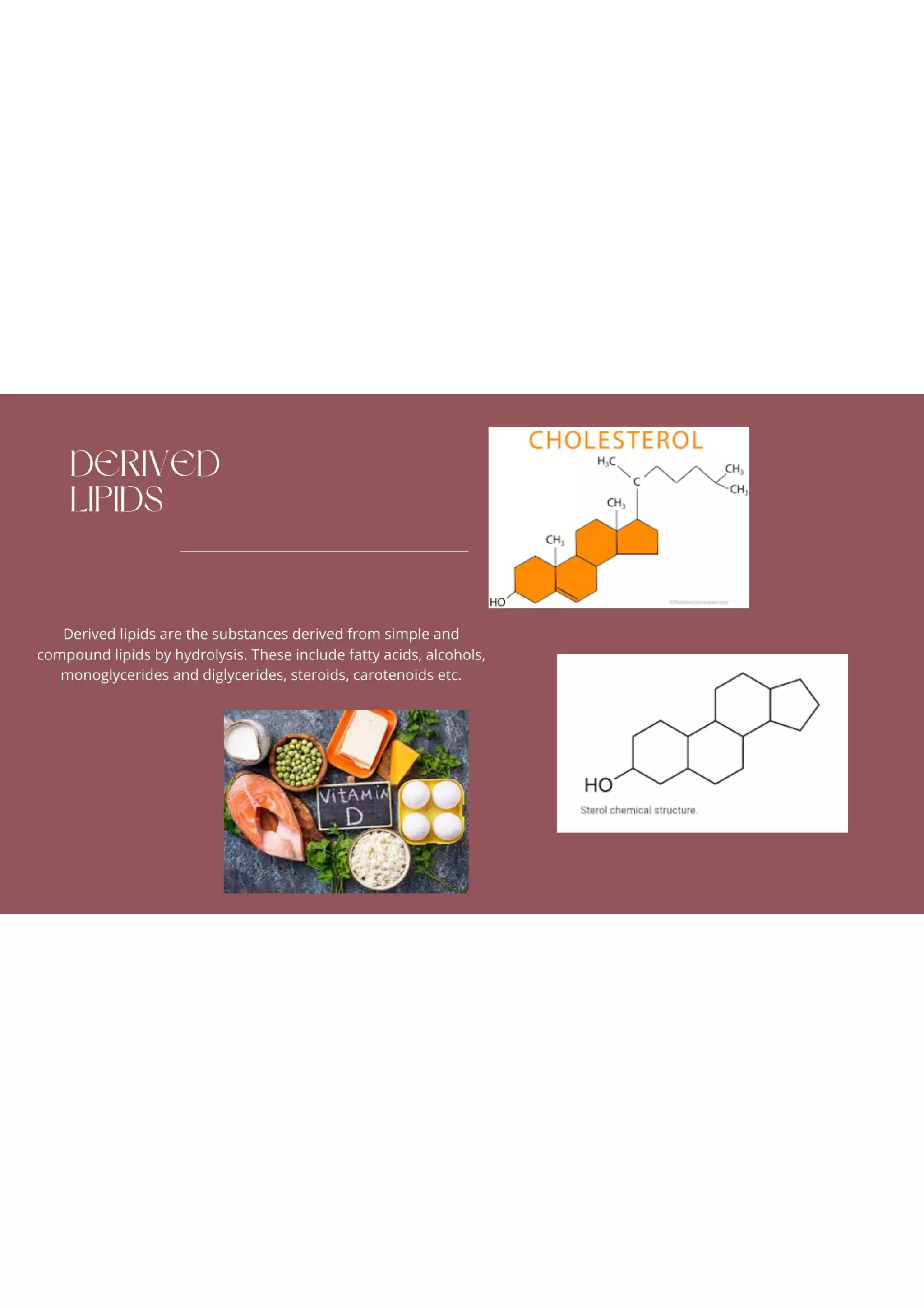 Lipids.pdf