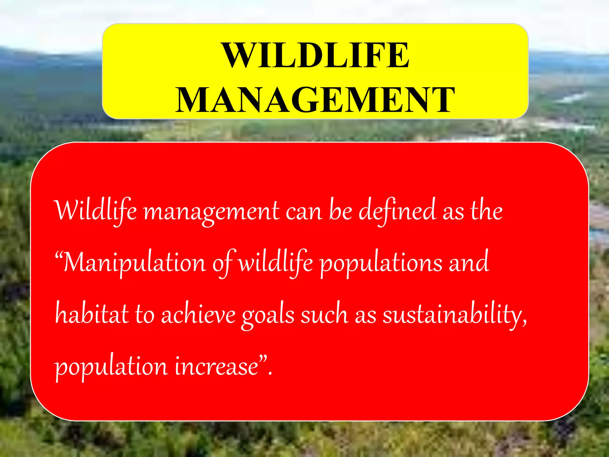 Forest and wildlife management | PPTX | Agriculture | Industries