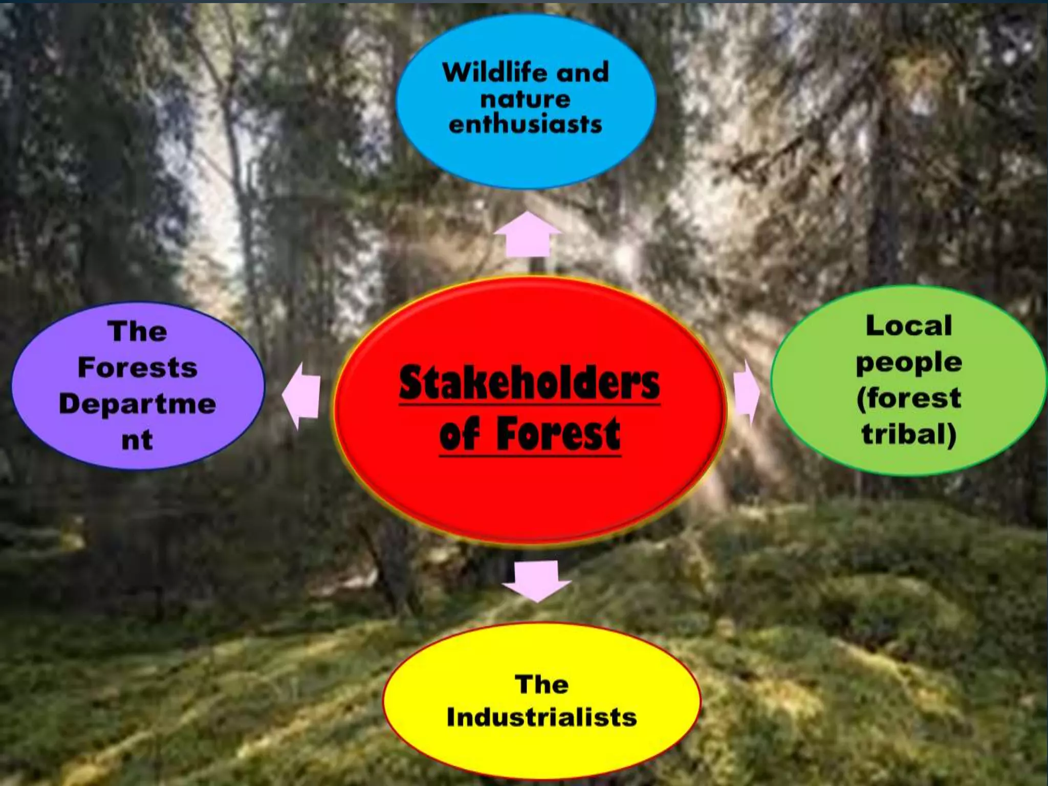 Forest and wildlife management | PPTX