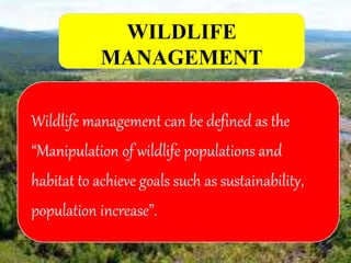 Forest and wildlife management | PPTX | Agriculture | Industries
