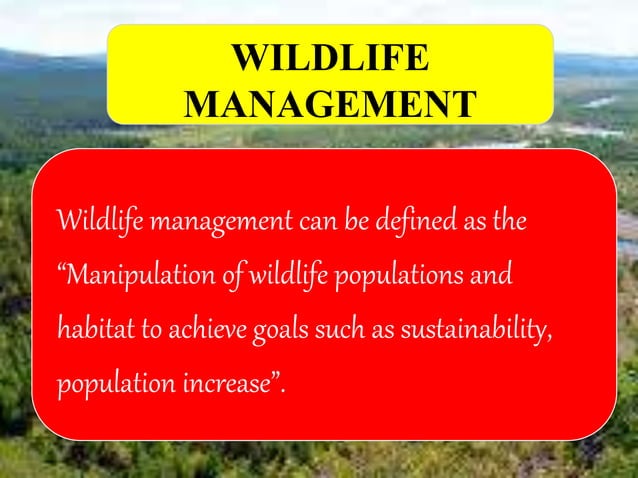 Forest and wildlife management | PPT