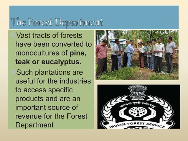 Forest and wildlife management | PPT