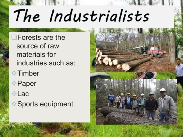Forest and wildlife management | PPT