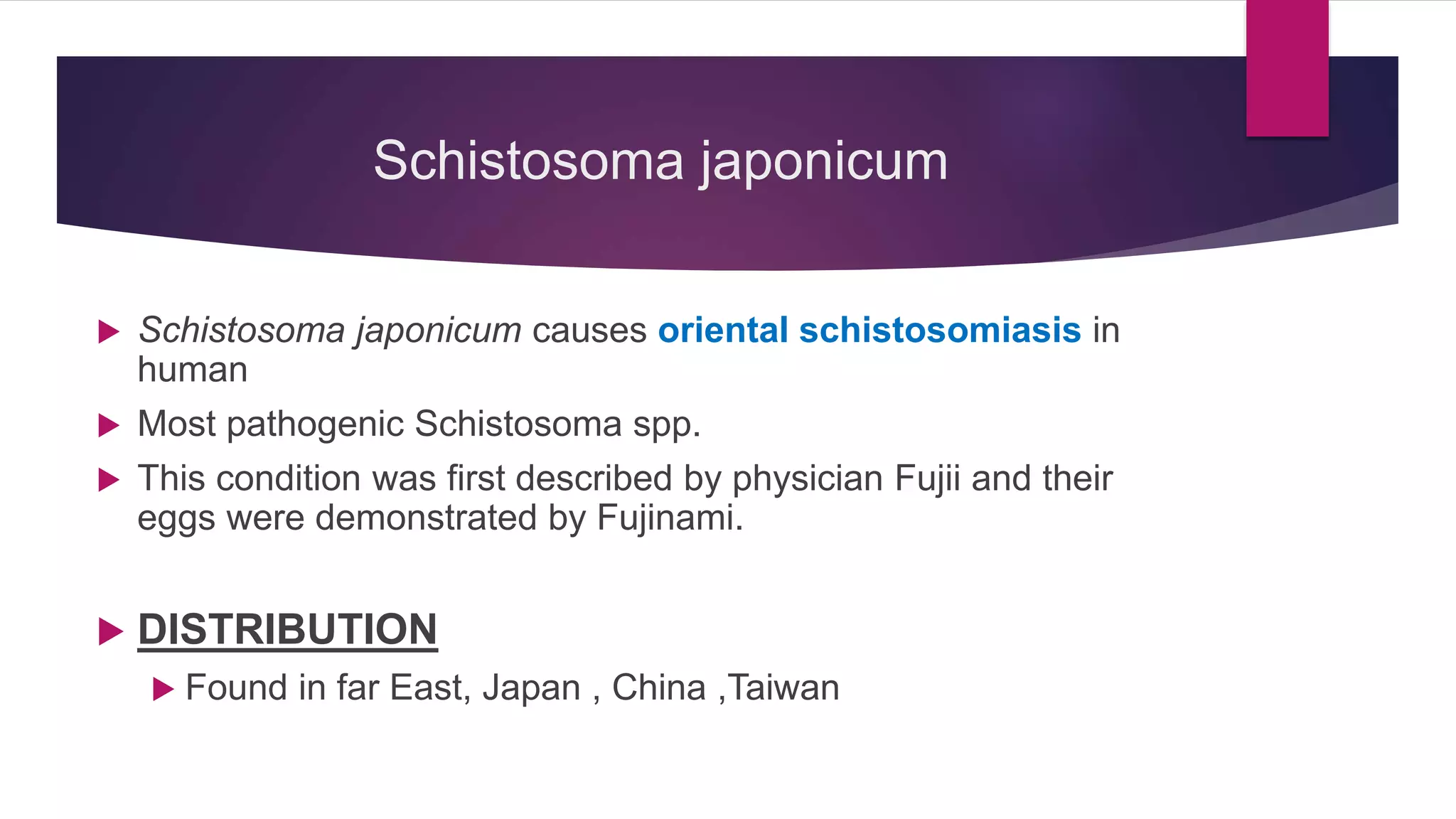 Schistosoma Mansoni and Schistosoma japonicum | PPTX