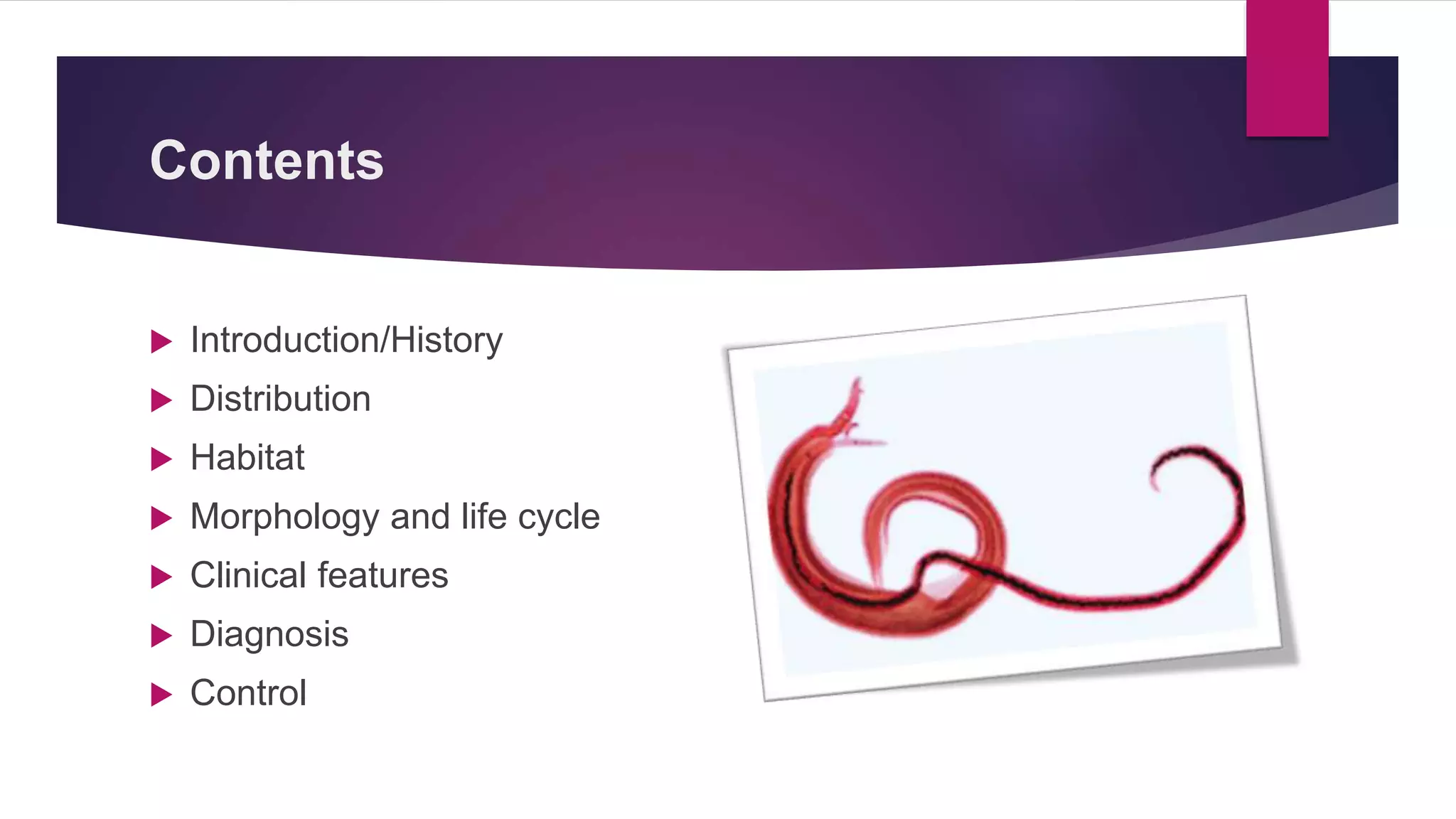 Schistosoma Mansoni and Schistosoma japonicum | PPTX