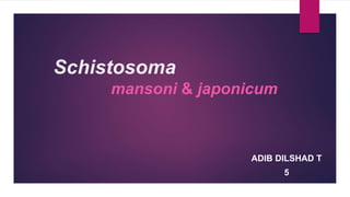 Schistosoma Mansoni and Schistosoma japonicum | PPTX