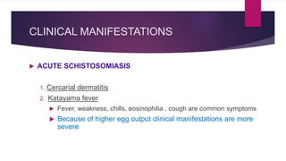Schistosoma Mansoni and Schistosoma japonicum | PPTX