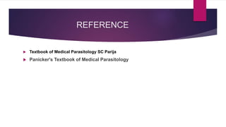 Schistosoma Mansoni and Schistosoma japonicum | PPTX