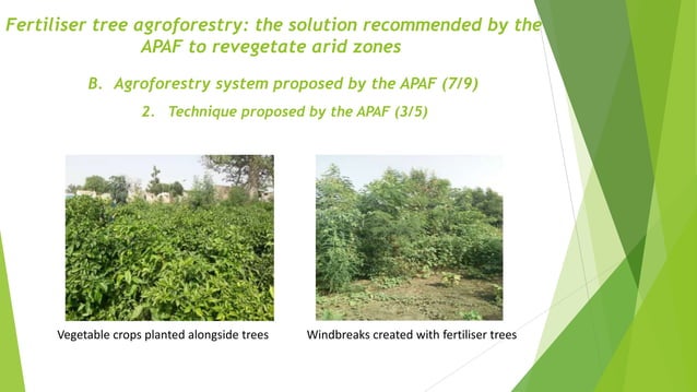 BB59: Promoting reforestation and agroforestry practices - Mansour ...