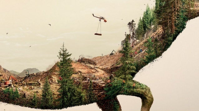 Man’s relationship with nature