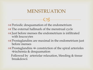 Manstrual cycle | PPT