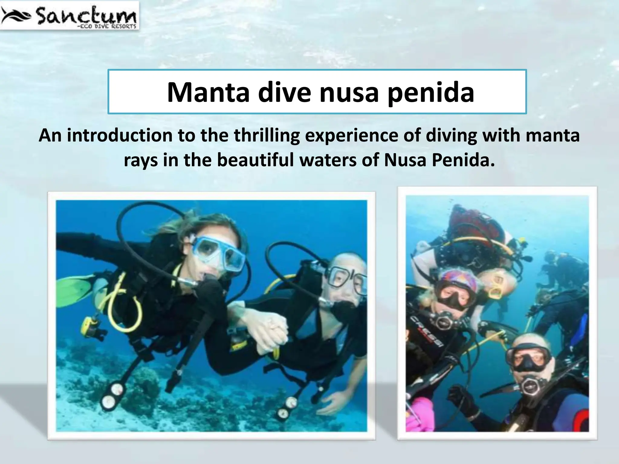 Experience the Magic: Manta Dive Adventures in Nusa Penida | PPTX