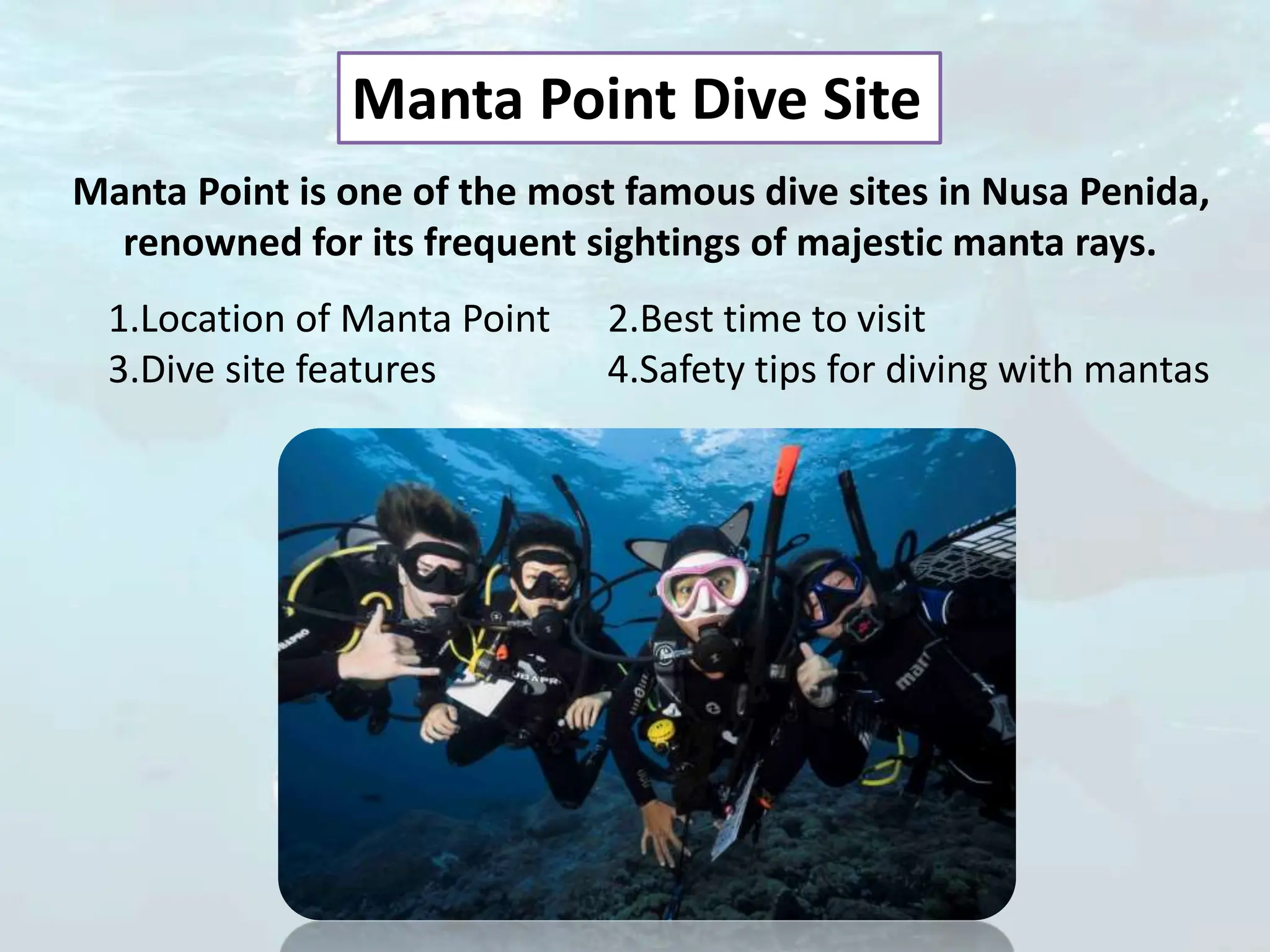 Experience the Magic: Manta Dive Adventures in Nusa Penida | PPTX