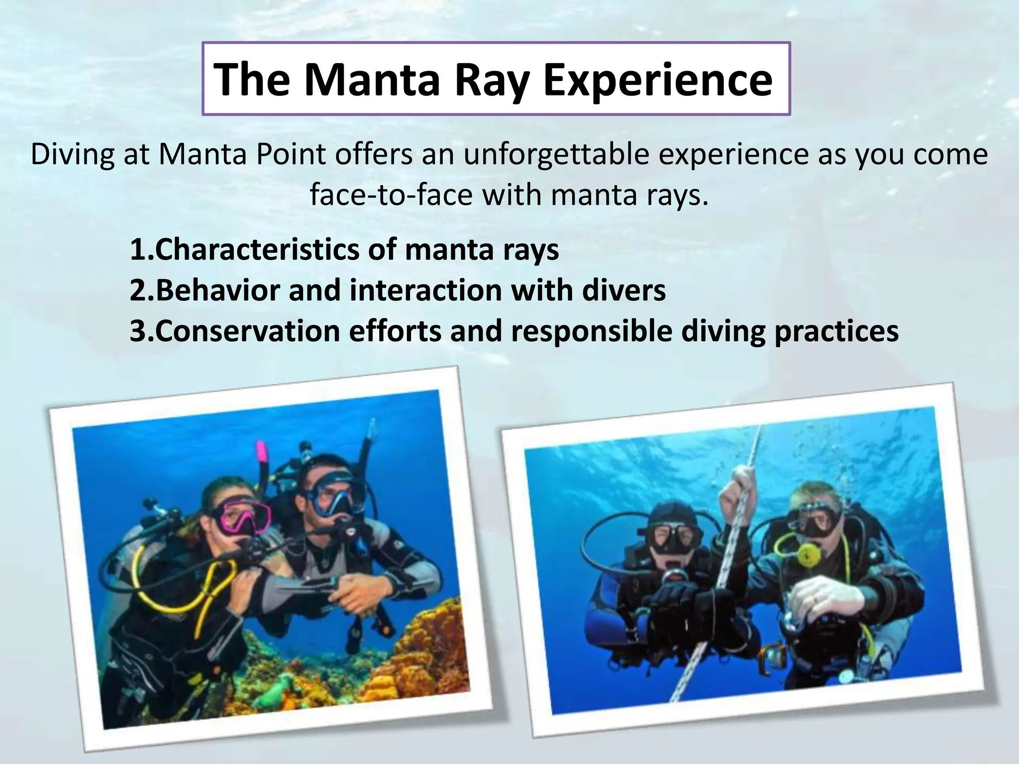 Experience the Magic: Manta Dive Adventures in Nusa Penida | PPTX