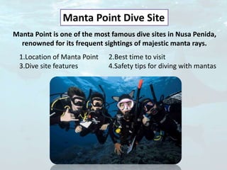 Experience the Magic: Manta Dive Adventures in Nusa Penida | PPT