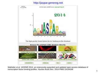 Webinar about JASPAR BioPython module and MANTA. | PPT