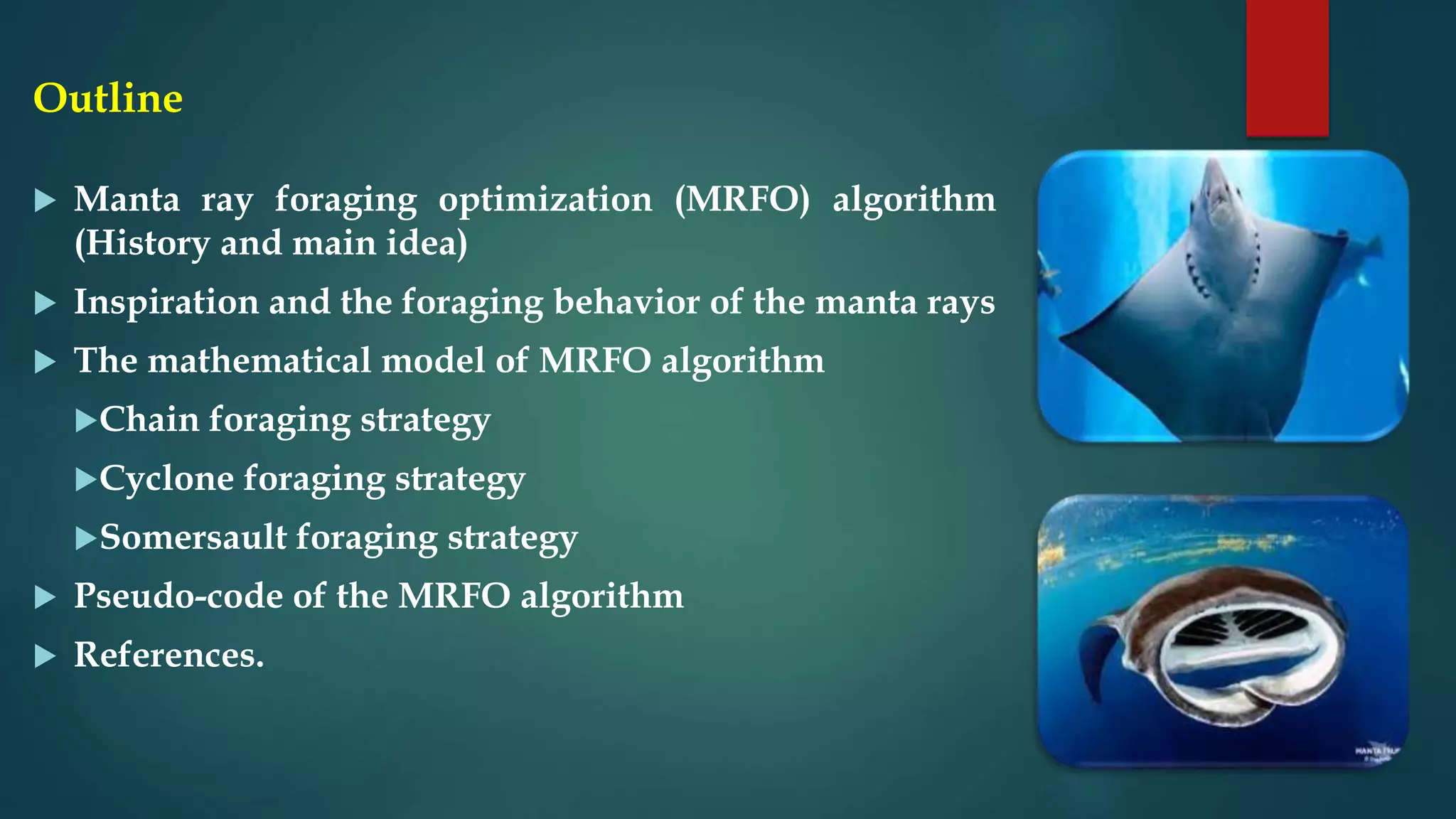 Manta Ray Optimization.pptx | Fishing Sports | Sports