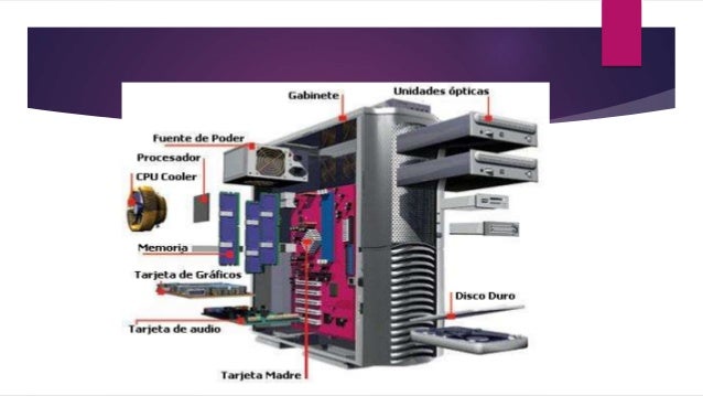 Triazs: Componentes Internos De Una Computadora Y Sus Funciones Triazs: Componentes Internos De Una Computadora Y Sus Funciones
