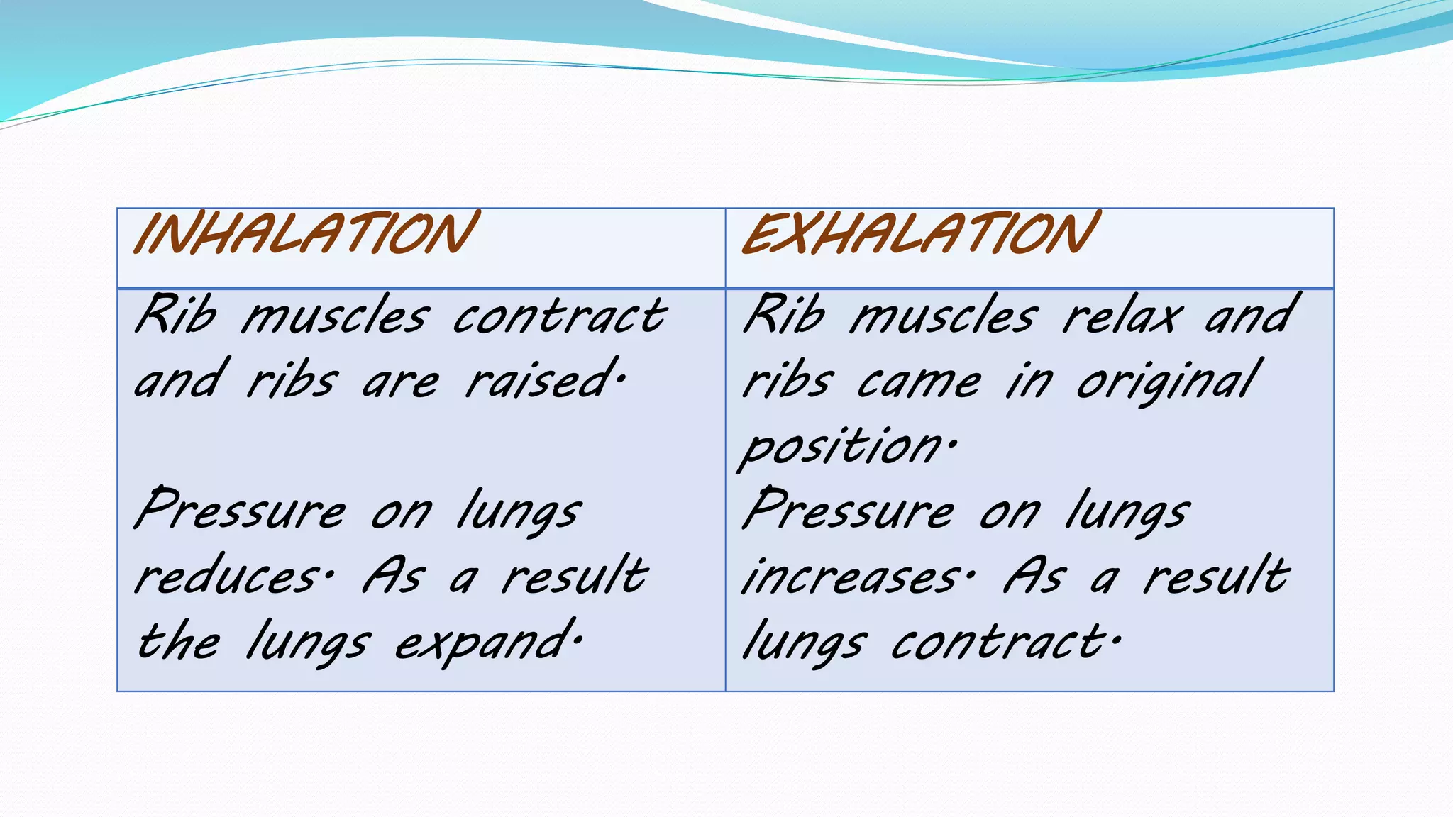 INHALATION AND EXHALATION MECHANISM OF LUNGS | PPTX