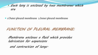 INHALATION AND EXHALATION MECHANISM OF LUNGS | PPTX