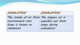 INHALATION AND EXHALATION MECHANISM OF LUNGS | PPTX