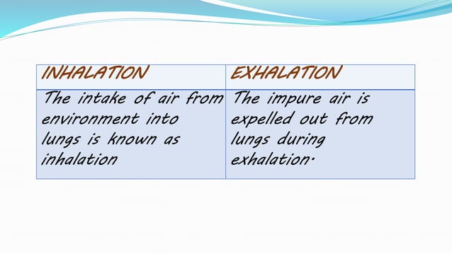 INHALATION AND EXHALATION MECHANISM OF LUNGS | PPTX | Lung and ...