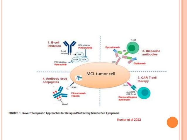 Mantle Cell Lymphoma PPT.pptx