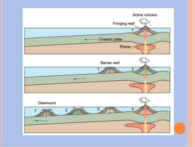Mantle plumes