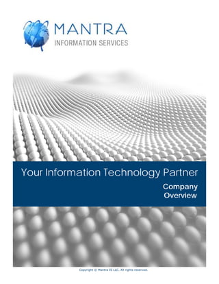 Mantra Information Services - Company Overview | PDF
