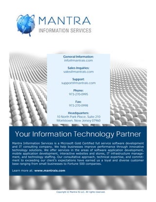 Mantra Information Services - Company Overview | PDF