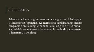 MANTSOE A HANANANG).pptx