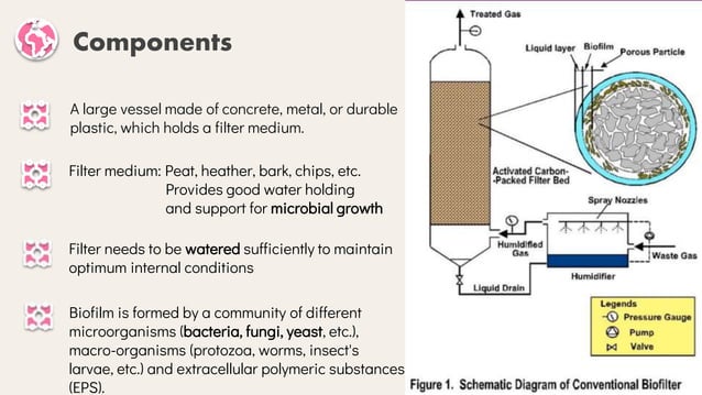 Biofilters for air pollution control | PPTX | Indoor Environmental ...