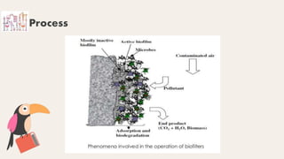 Biofilters for air pollution control | PPTX