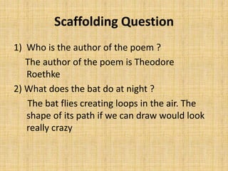 THE BAT(PPT) | PPT
