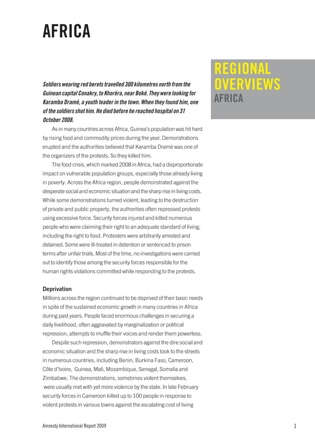 AMNESTY INTERNATIONAL REPORT 2009 | PDF