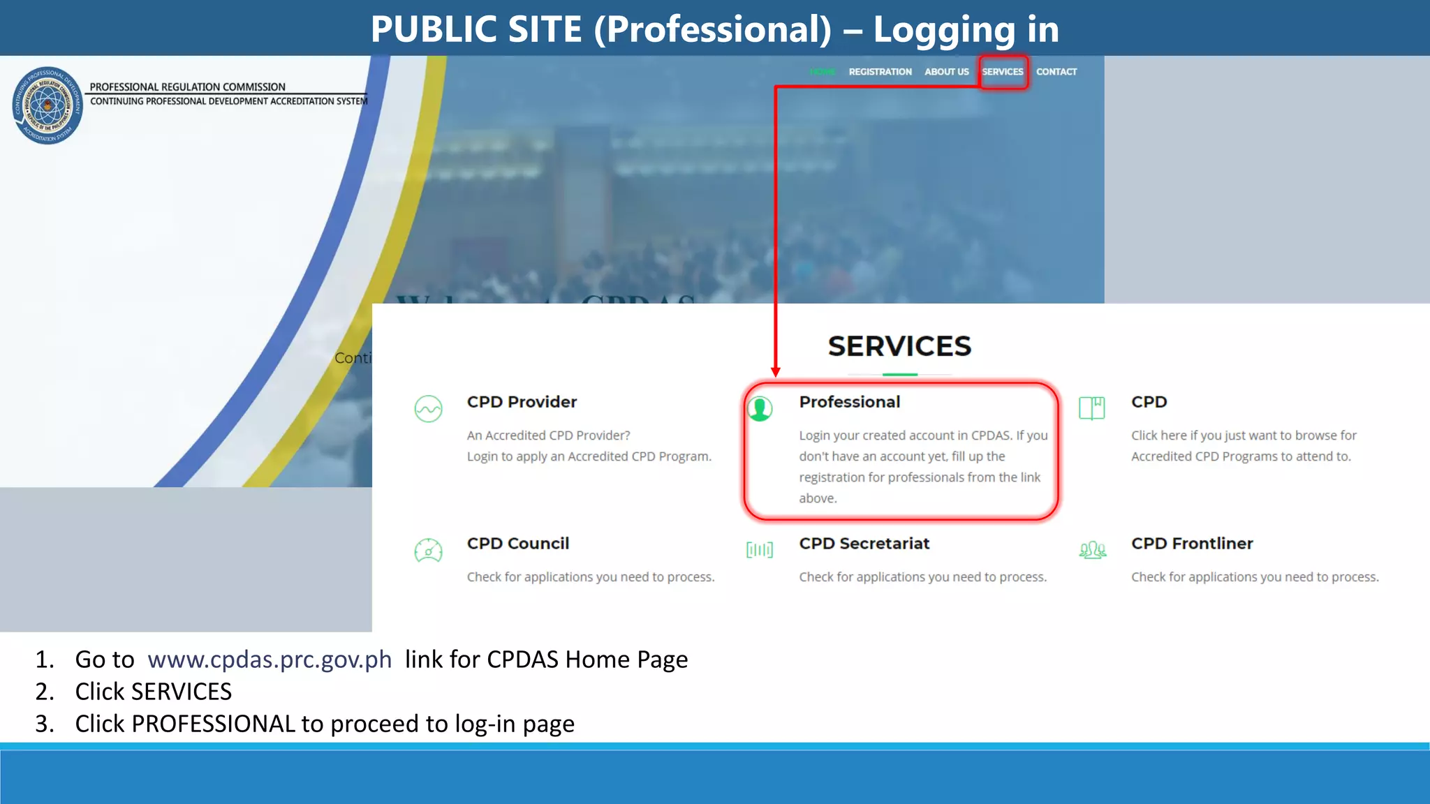manual.professional.pdf