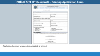 manual.professional.pdf
