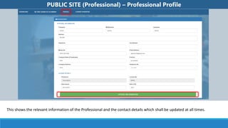 manual.professional.pdf