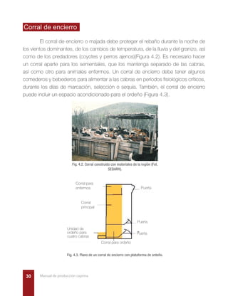 Manual de produccion caprina | PDF