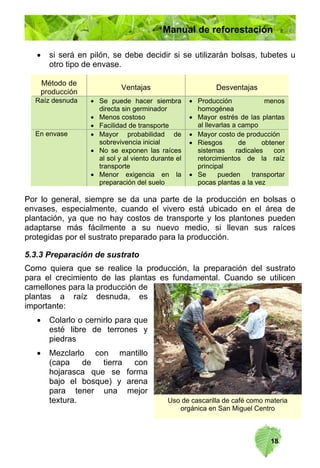 Manual de-reforestacion | PDF