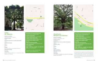 Manual del-arbol-gob-gdl-2018 (1) | PDF